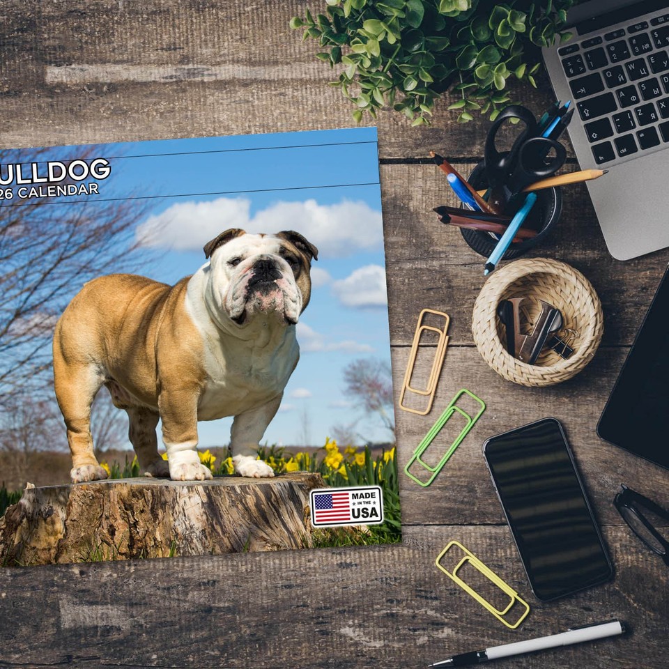 Bulldog Calendar 2026 - Dog Breed Wall Calendar - Made in the USA! | eBay