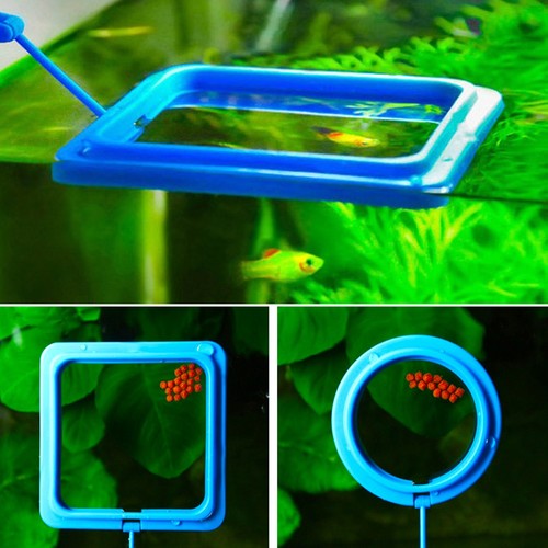 Hanging Fish Food Tray Feeding Ring with Plastic Floating Feeder Rings ...