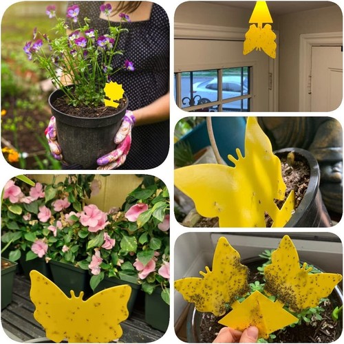 20PCS Yellow Sticky Fly Catching Paper Fruit Fly Insect Aphid Glue ...