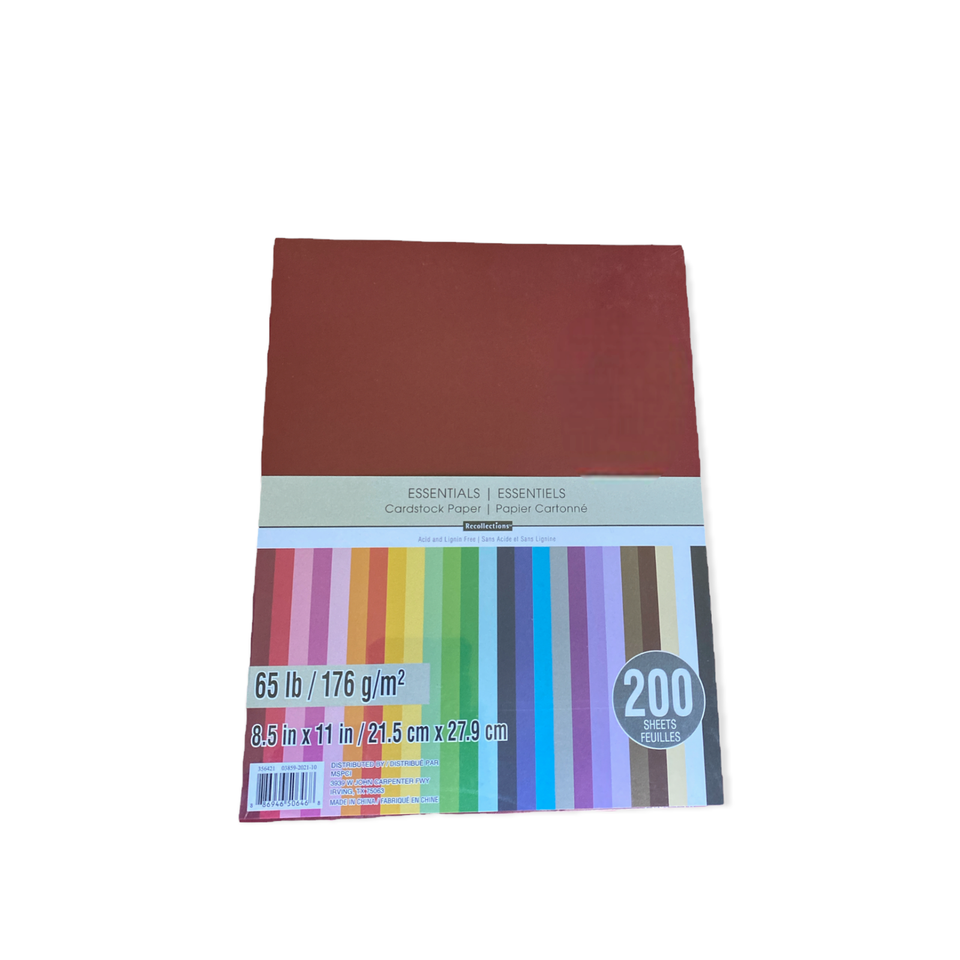 Recollections Cardstock Paper, Essentials 20 Colors - 200 Sheets 8-1/2 ...