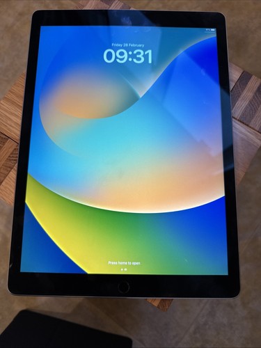 Apple iPad Pro 1st Gen 2015 12.9" A1584 32GB WiFi | eBay