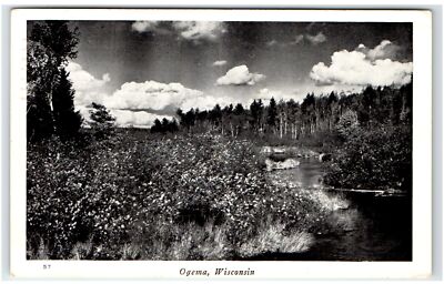 1949 OGEMA, WI Postcard- NATURE SCENE IN OGEMA | eBay