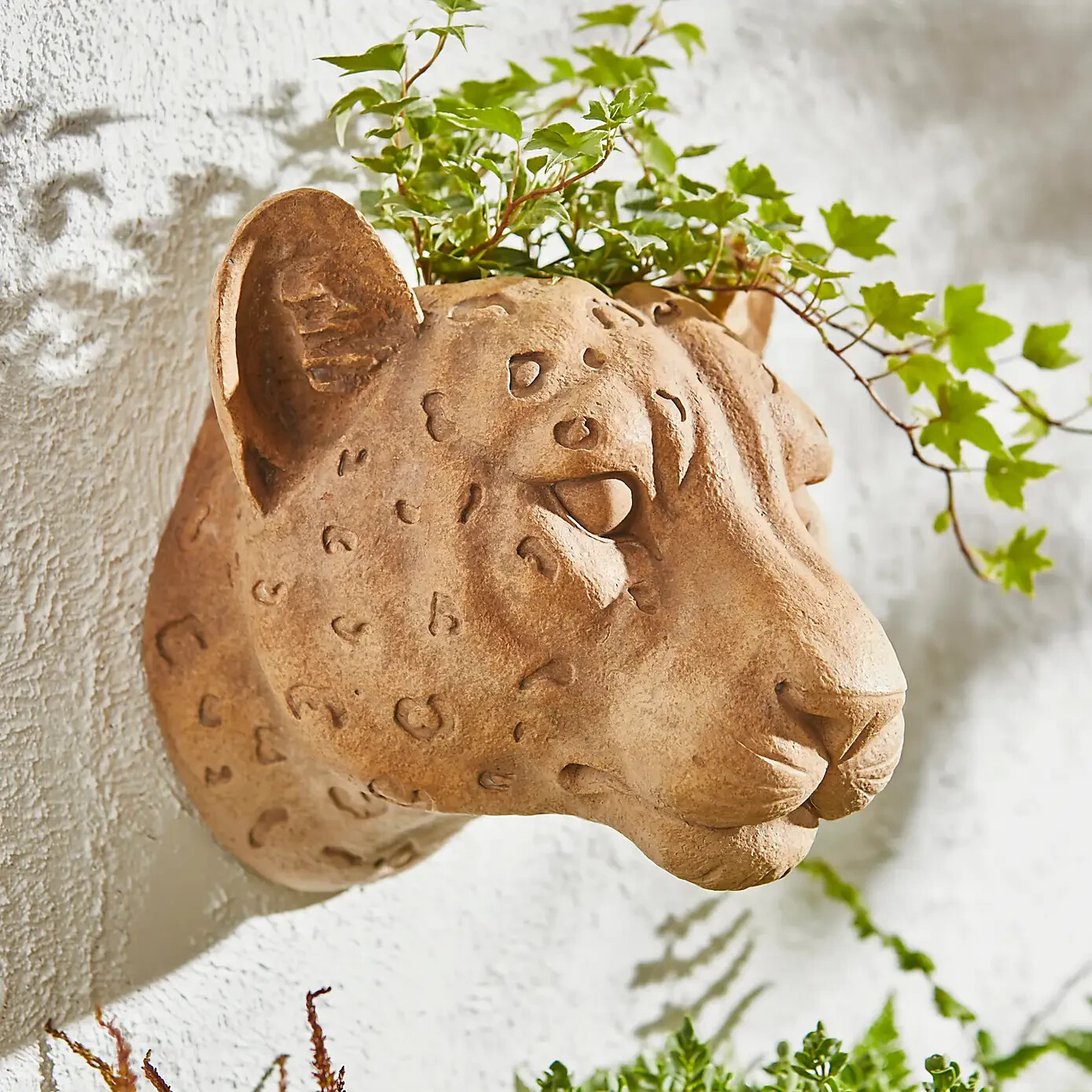 New Leopard Outdoor Wall Planter Stylish Design Easy to Clean Garden ...