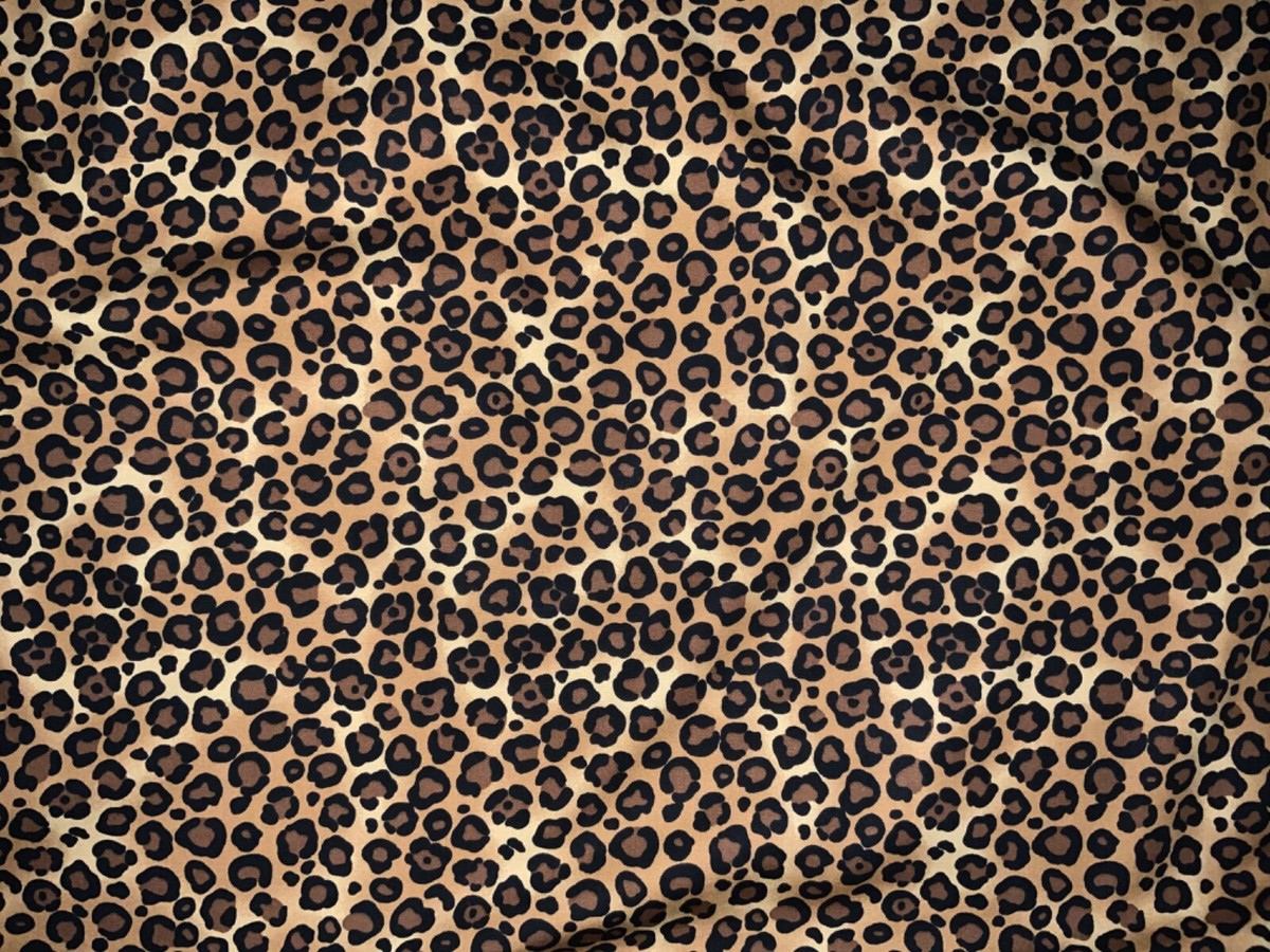 Leopard Print Wallpaper Tumblr