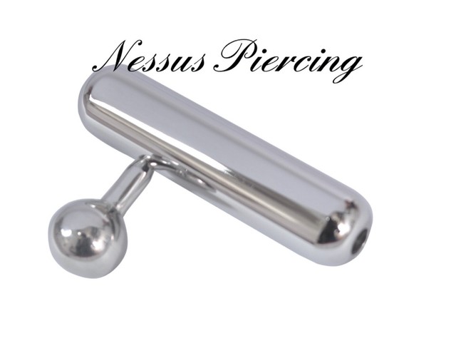 PRINCE ALBERT WAND URETHRAL TOY SOUNDING PIERCING CUSTOM PRIVATE GLAND ...