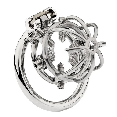 Male Stainless Steel Chastity Cage Chastity Device with Spiked Sissy ...