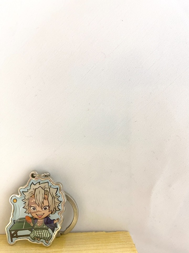 Demon Slayer Kanroji Kimetsu no Yaiba Shinazugawa Sanemi Silver ...