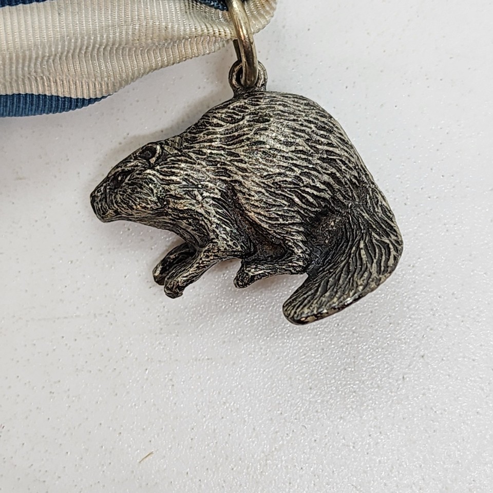 Vintage BSA Boy Scouts Beaver Medal in Black Case | eBay