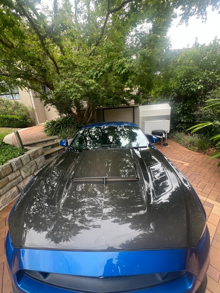 Mustang S550 Carbon Package, Hood/bonnet, trunk/boot and rear spoiler ...