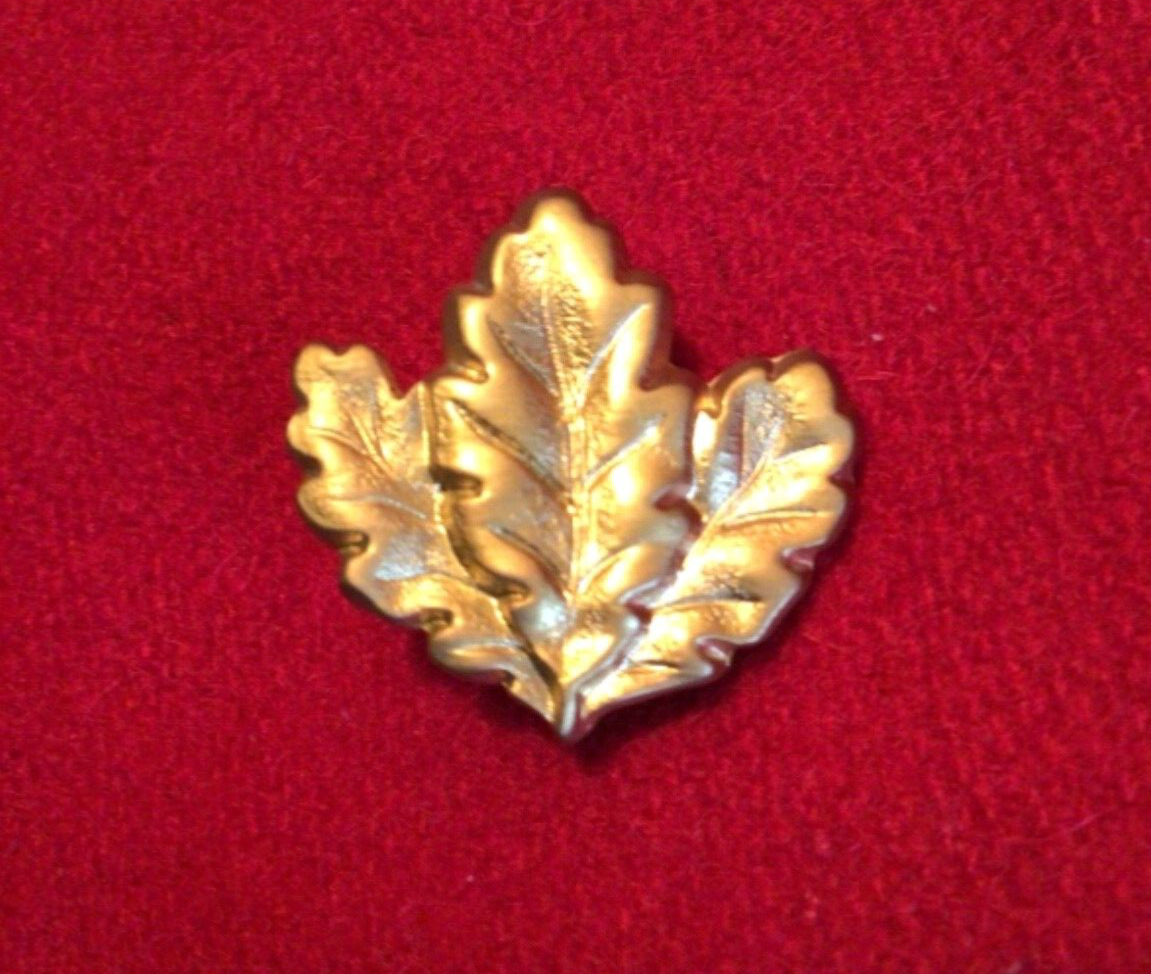 GERMANY / BADEN ORDER OF THE ZÄHRINGER LION OAK LEAF DEVICE ...