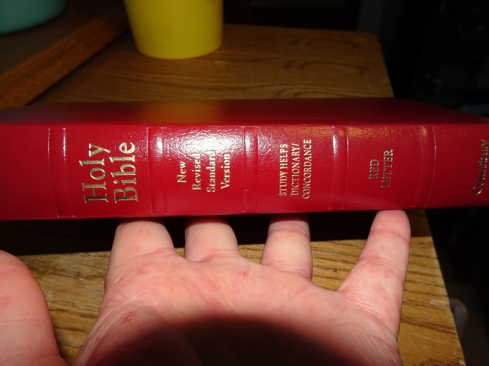 Red Holy Bible New Revised Standard Version Red Letter Cokesbury w ...