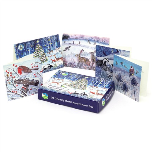 Pack of 20 RSPB Charity Christmas Greeting Cards | Winter Wildlife ...