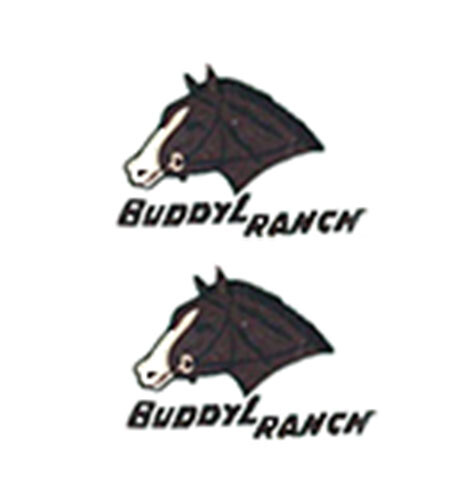 water slide decal set for Buddy L Ranch truck decal W/TRACKING | eBay