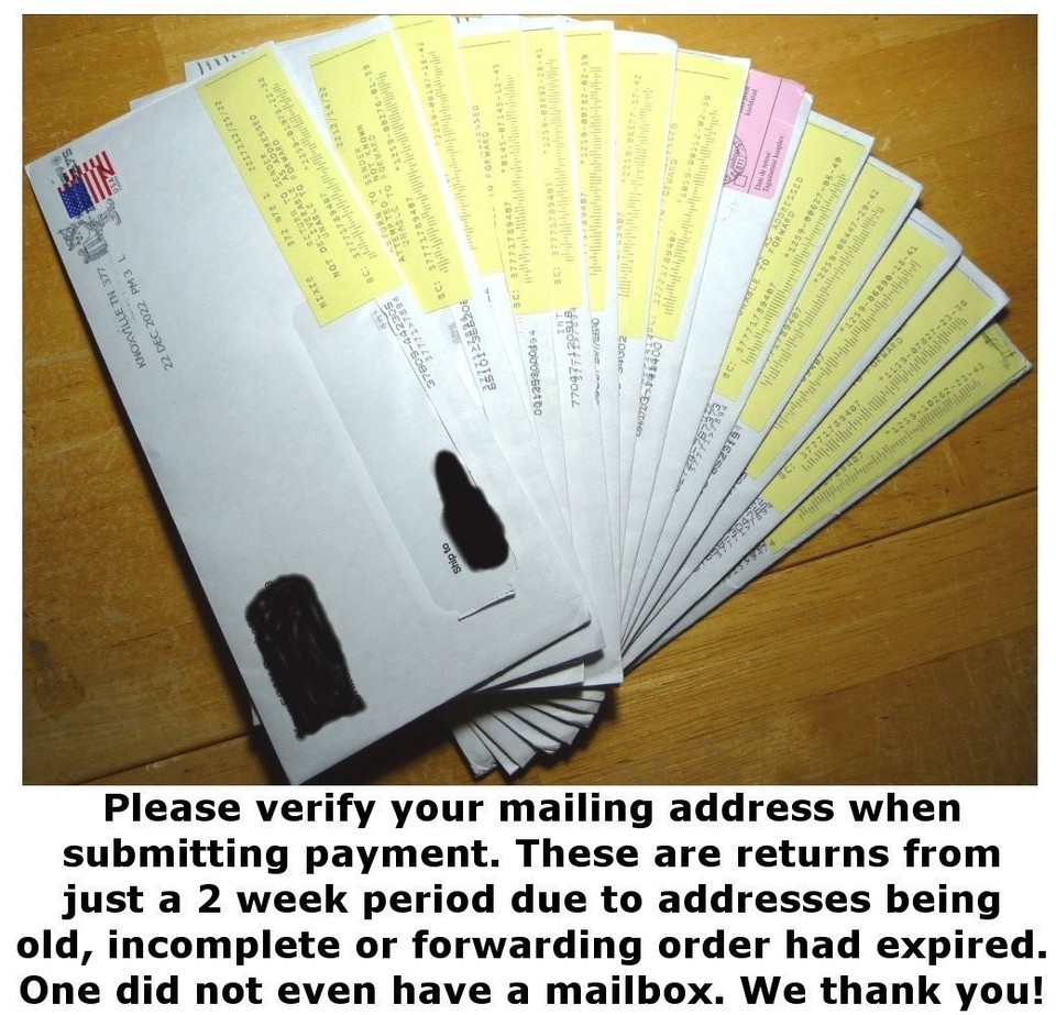 HOLOGRAPHIC CONCH SHELL STICKER DECAL OCEAN SEA LIFE SPARKLE | eBay