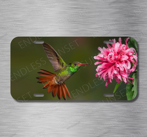 Humming Bird Watching Flower Nature Joy Harmony License Plate Front ...