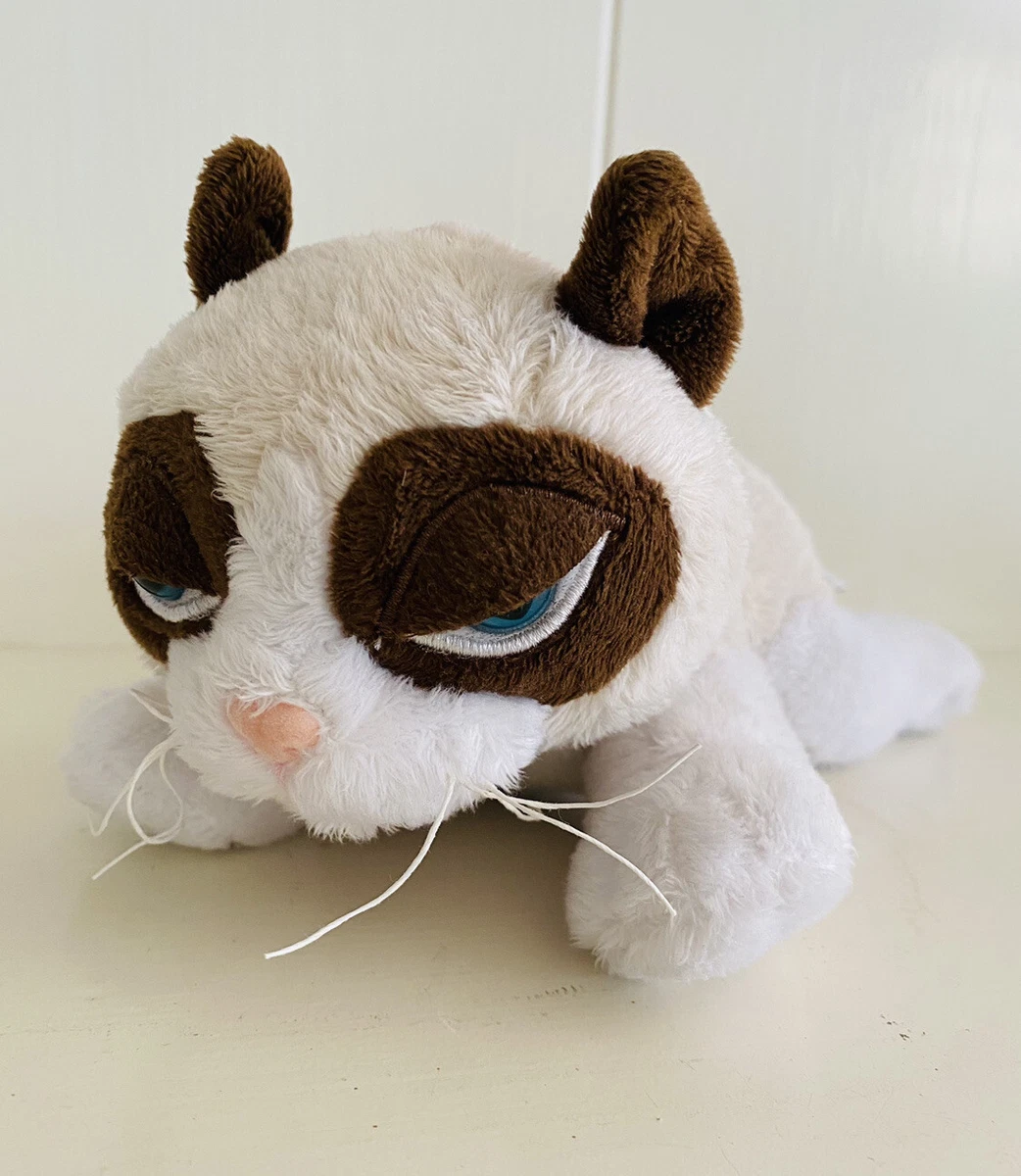 Soft Kitty Grumpy Cat