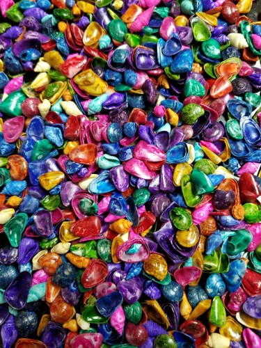 Lot of Dyed, Multi-colored Mixed Sea Shells 6+ oz for Crafts or Coastal ...