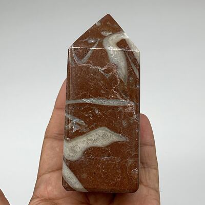 366g, 3.9" x 1.6" Natural Red Shell Fossils Tower Obelisk Wand @Morocco ...