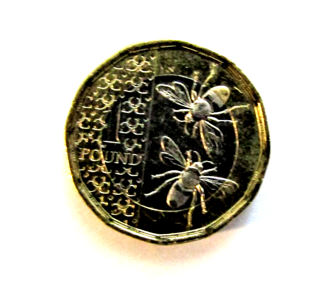 COIN, GREAT BRITAIN, 1 POUND, KING CHARLES III / WITH BEES, 2023, EXF ...