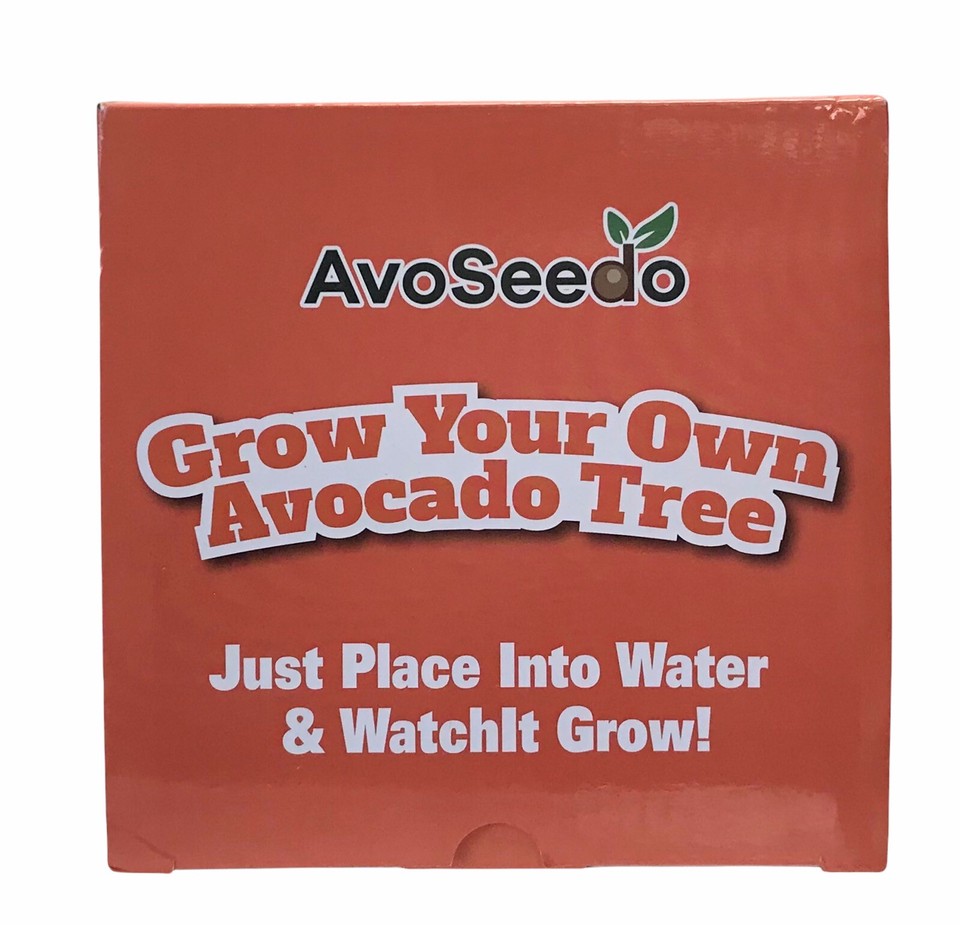 AvoSeedo Avocado Grow You Own Tree - Adult & Children - For All Ages 4 ...