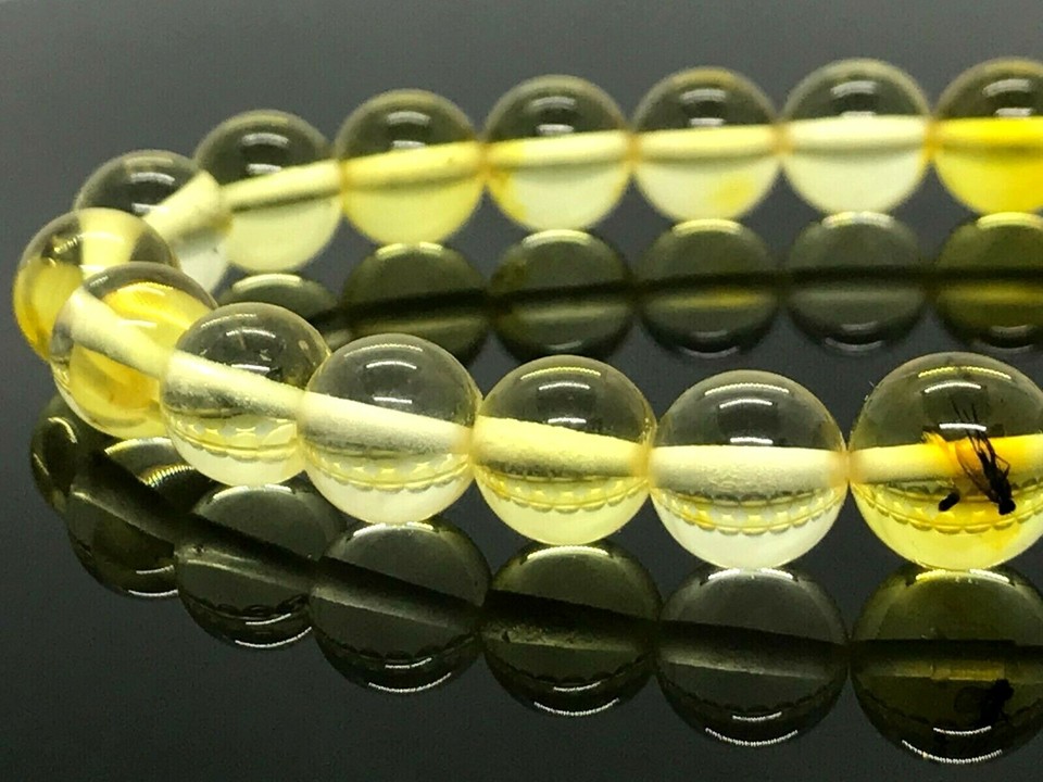 Insect BALTIC AMBER BRACELET Fossil Inclusion Round Beads Insects Gift ...