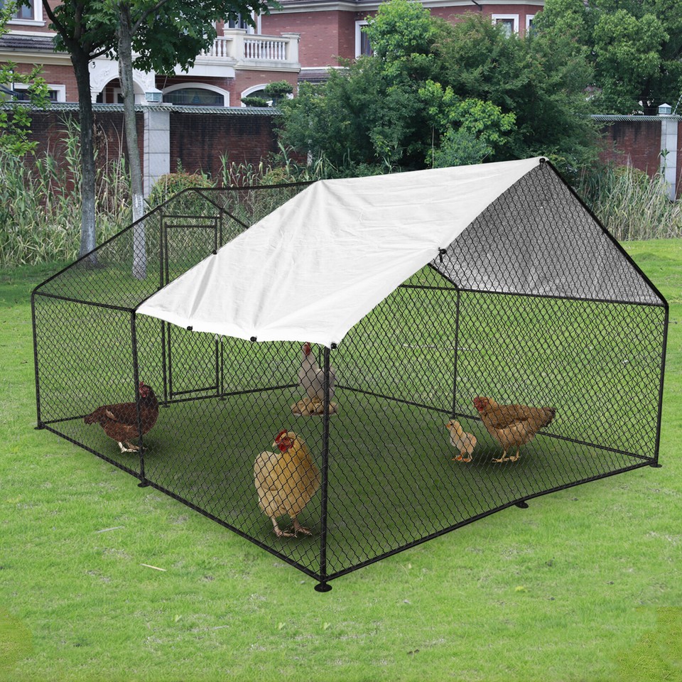 Large Metal Chicken Coop Walk-In Chicken Run 13x10x6.6 ft Peaked Roof ...