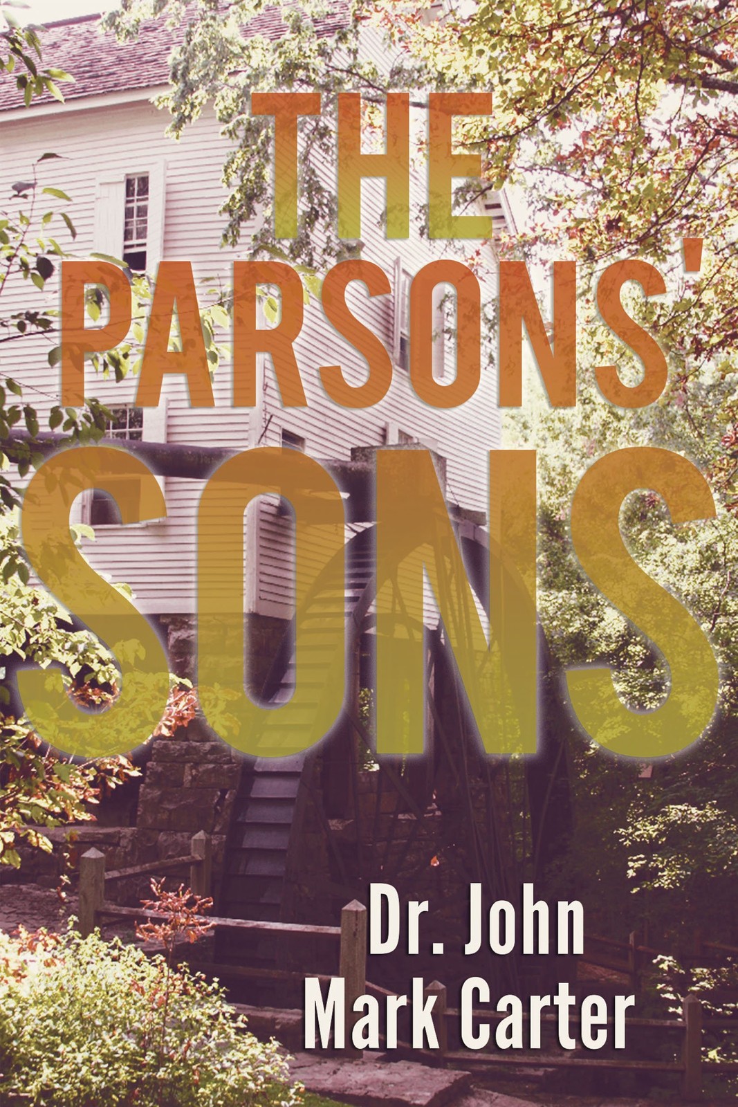 John Mark Carter The Parsons' Sons (Paperback) (UK IMPORT ...
