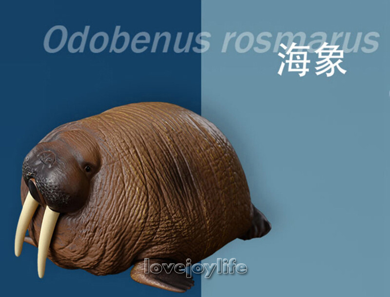 ANIMAL PLANET Blind Box Ocean Animal Capsule Model Turtle Walrus Beluga ...