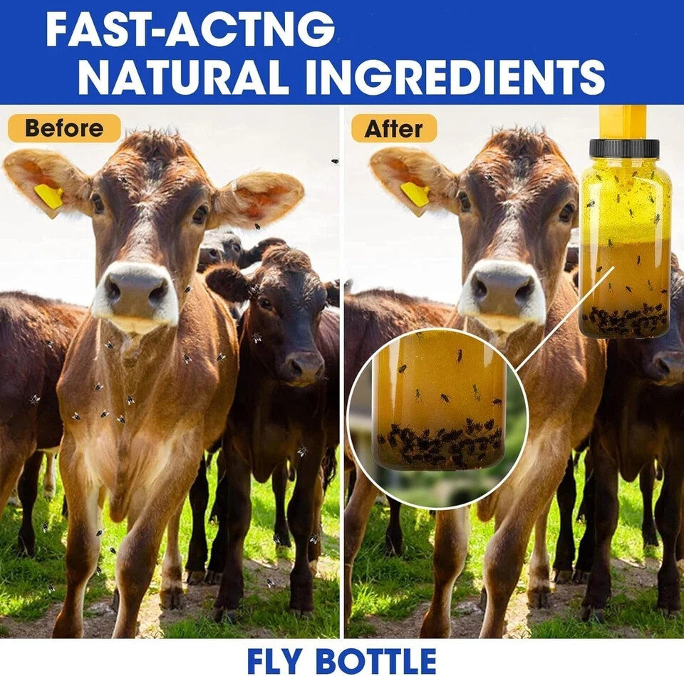 10X30G Fly Trap Refill Packets, Flies Bait Attractant Refills for All ...