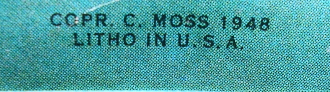 1948 Calendar Art Girl Litho. by C. Moss Corp.COME ABOARD. 15 X 20 | eBay