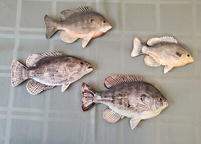 Fish Casting Art Hand painted and Realistic | eBay