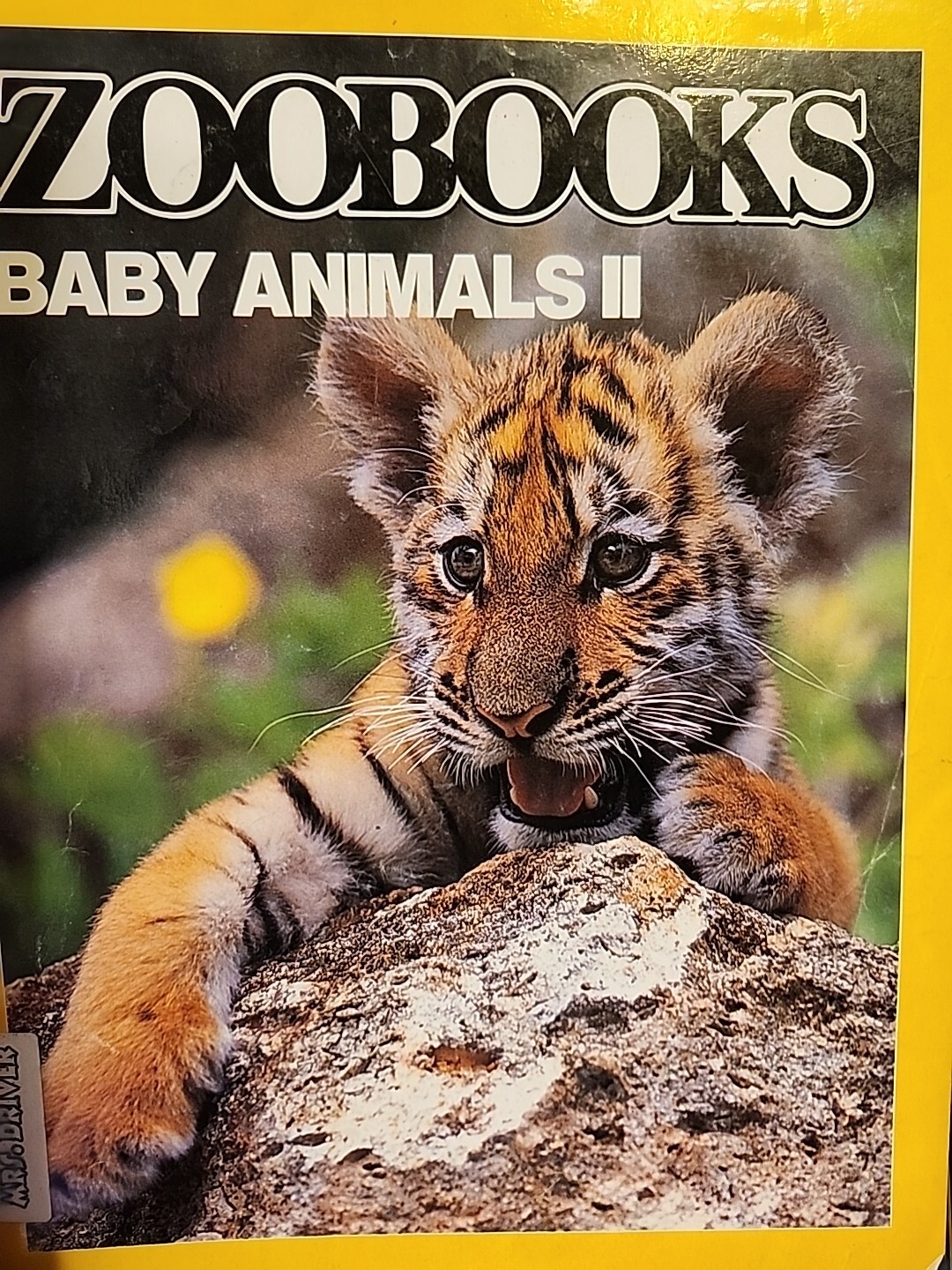 Zoobooks Lot Of 4 Children's polar bears -Ducks elephant baby animals 2 ...