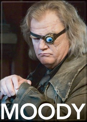 Harry Potter MOODY Professor Moody Photo Image Refrigerator Magnet NEW ...