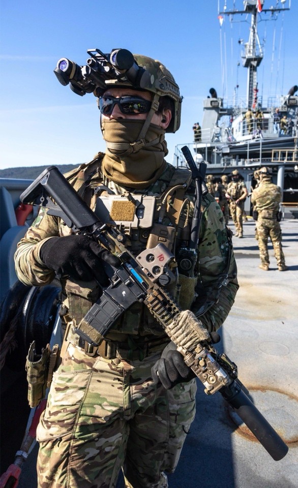 New Eagle Industries Multicam MMAC-R 2019 MEDIUM NSW Plate Carrier DEVGRU. | eBay