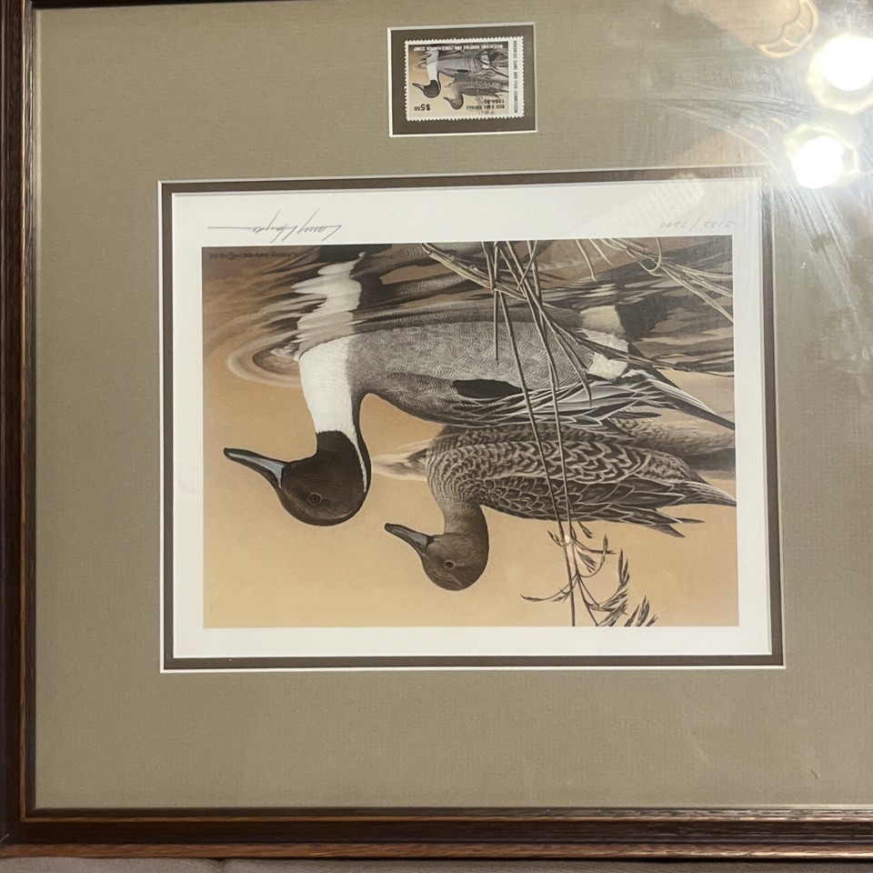 Larry Hayden-Arkansas 1984-Bois D'Arc Pintails Stamp & Print-Framed ...