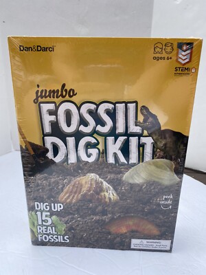 Fossil Dig Kit Dig Up 15 Real Fossils Stem Dan & Darci New | eBay