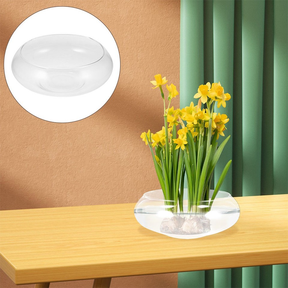 Hydroponic Flower Pot Pentole Vasi Di Fiori Unici Da Per Piante Interno ...