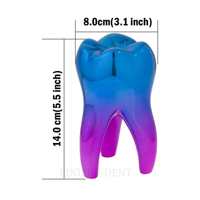 14x8cm Dental Bluish Violet Teeth Model Decoration Display Artcrafts ...