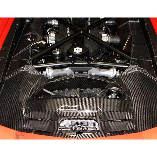 Lamborghini Veneno Engine Bay