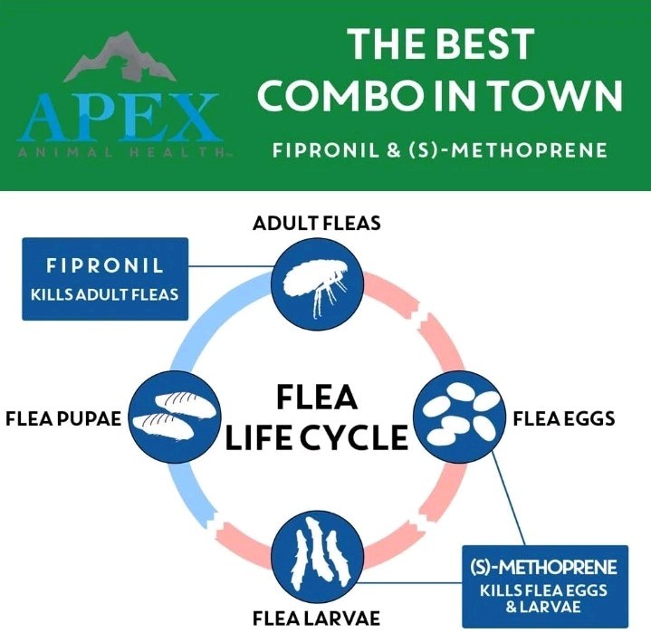 3x Apex Plus Flea Control For Cats 3 Months Each Box For Cats Over 1 5