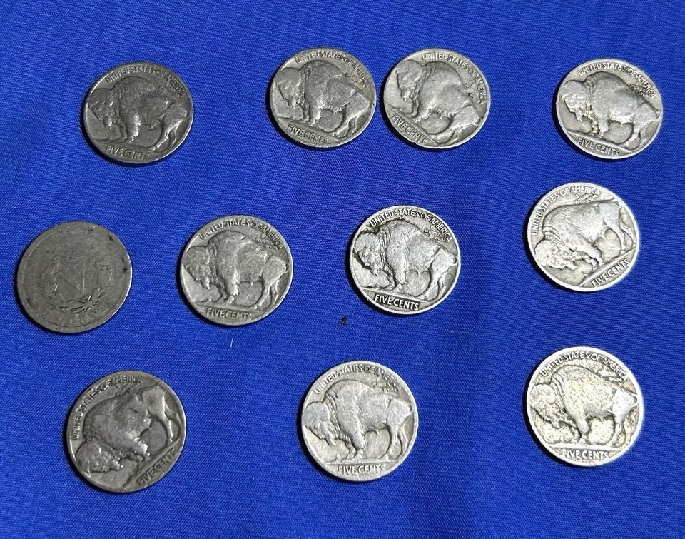 Lot Of (11) Buffalo 5 Cent Pieces 1935, 1923-s Plus More And a 1901 V ...
