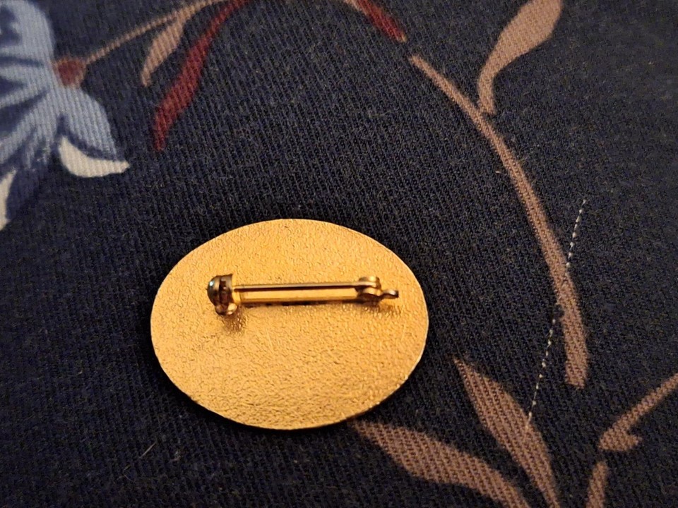 Pomerado Hospital Auxiliary pin / Lapel pin. Tie-back pin | eBay