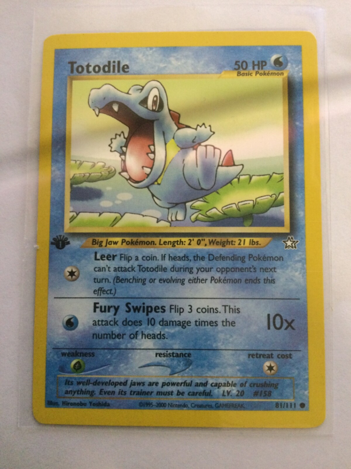 Pokémon Totodile 81/111 Neo Genesis card 1st Edition | eBay Australia