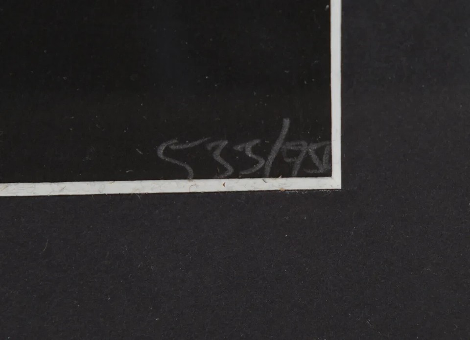 BANKSY - MONKEY QUEEN - NUMBERED ORIGINAL SCREENPRINT WITH PEST CONTROL ...