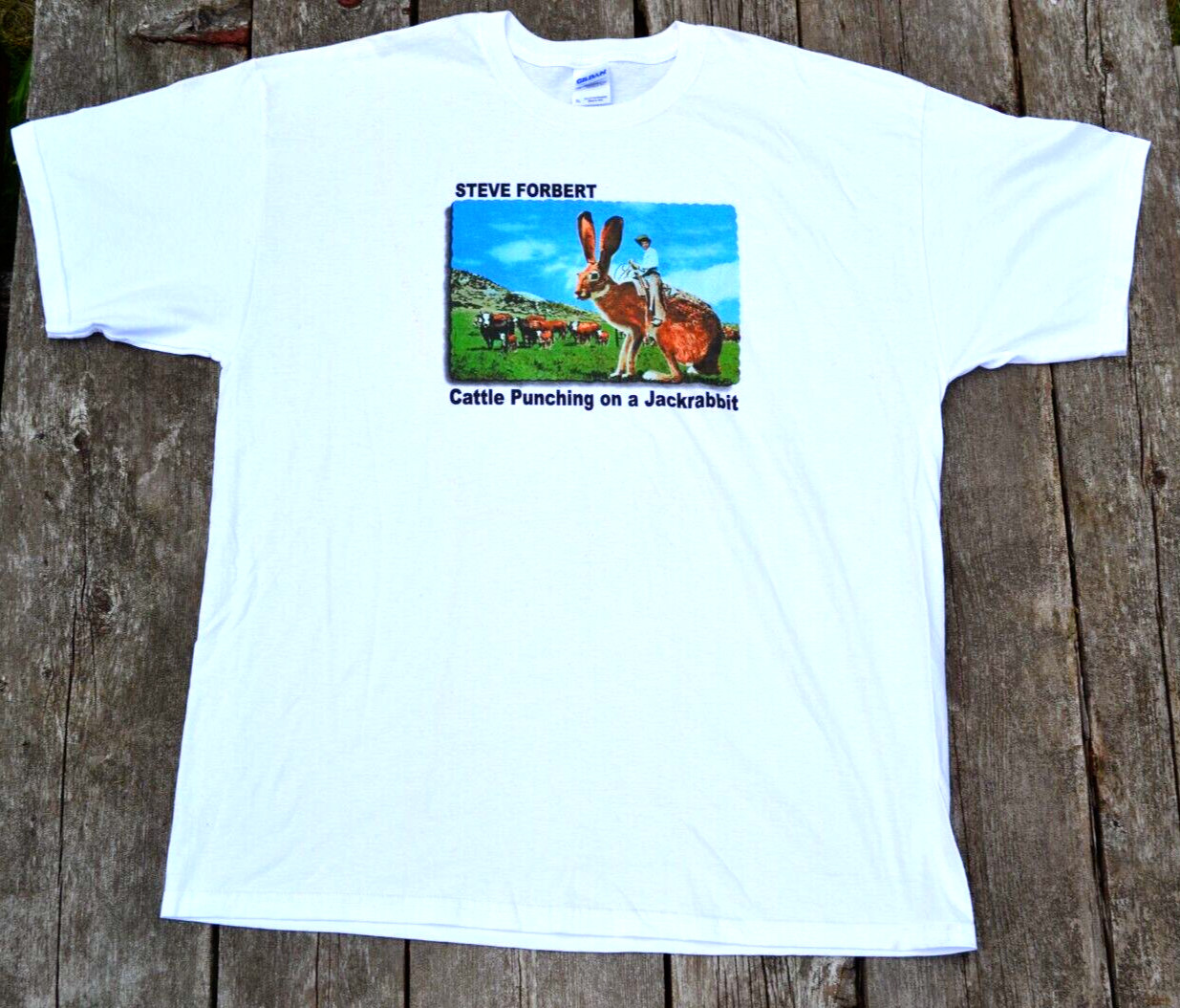 steve forbert tee T shirt cattle punching the jackrab… - Gem