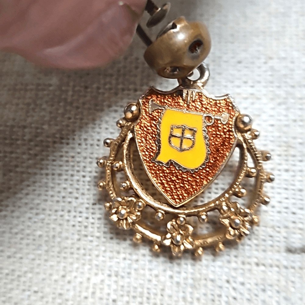 Vintage Shreiner Masonic Star Antique Shield Freemaso… - Gem