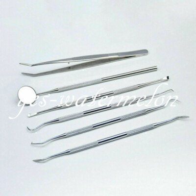 DENTAL TOOTH PICK PROBE SET KIT TEETH HYGIENE TOOLS STAINLESS STEEL ...