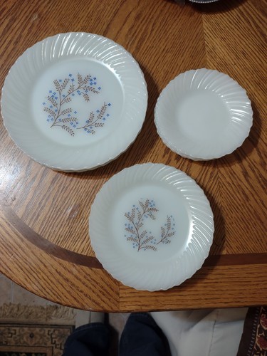 12 Vintage Termocrisa Mexico Milk Glass Dinner Plates Blue Floral Swirl ...