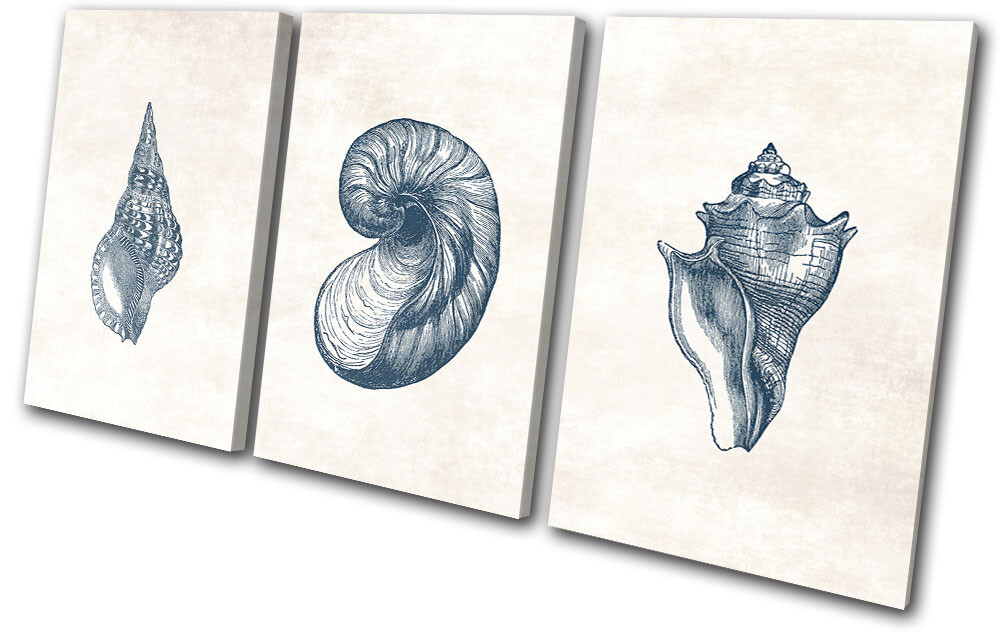 Sea Shells Nautical Bathroom TREBLE CANVAS WALL ART Picture Print | eBay