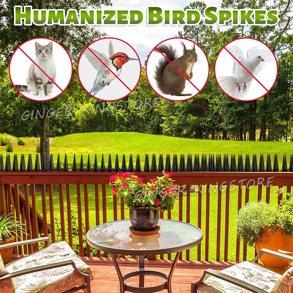 12x Bird Spikes Human Cat Possum Mouse Pest Control Spiked Fence Wall ...
